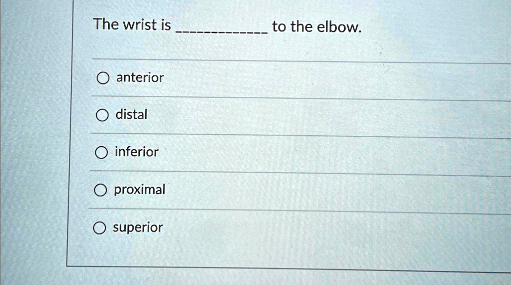 SOLVED: The wrist is to the elbow. anterior distal inferior proximal ...