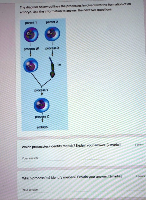 SOLVED: Processes involved with the formation of an embryo: parent ...