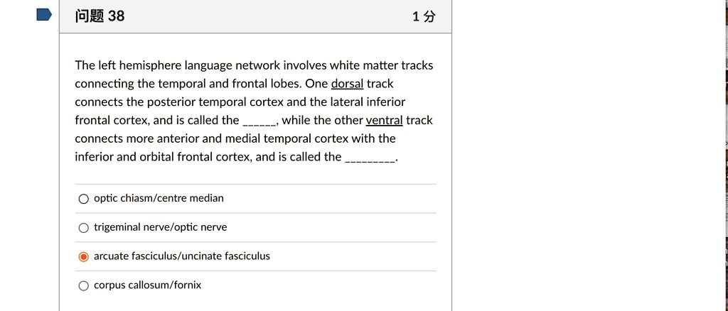 ??38 1? The left hemisphere language network involves white matter ...