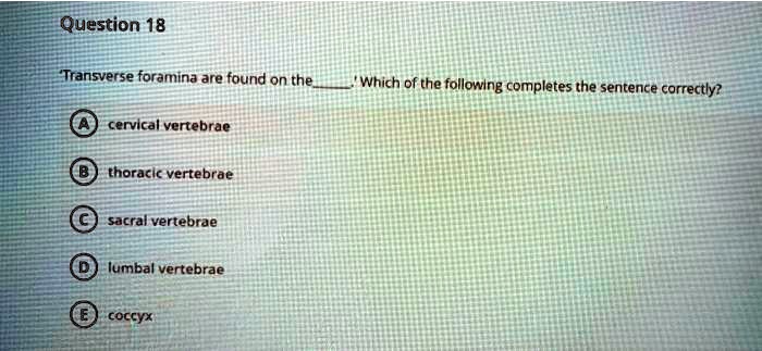 Transverse foramina are found on the Which of the following completes ...