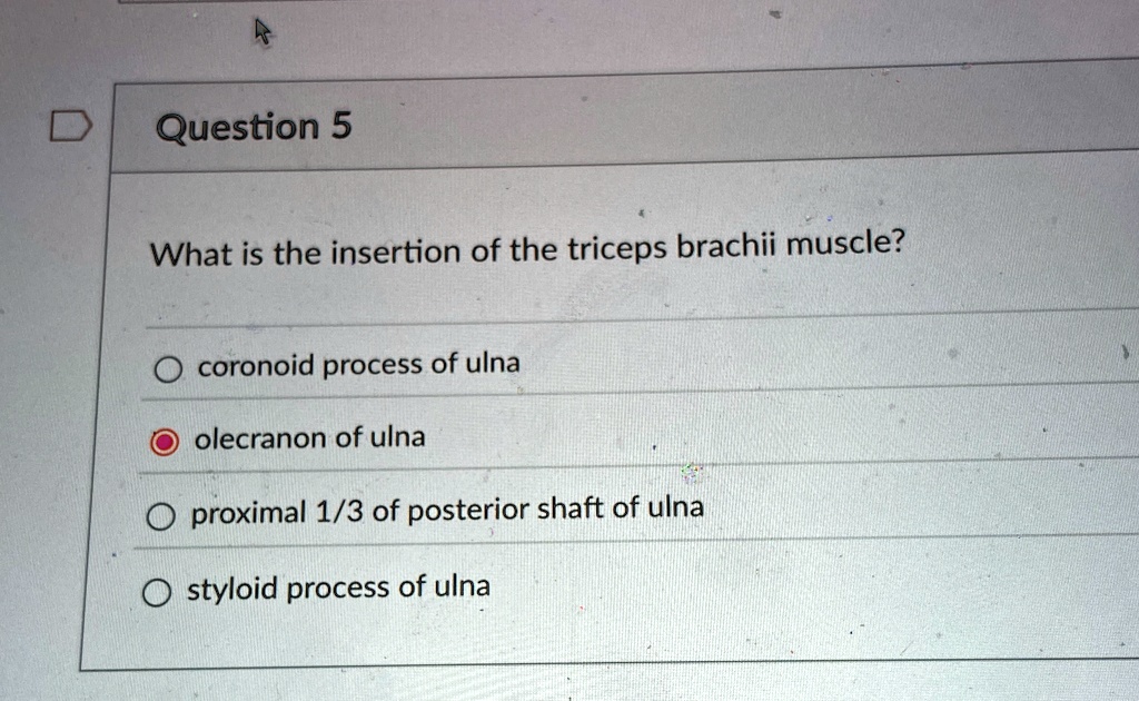 question 5 what is the insertion of the triceps brachii muscle coronoid ...
