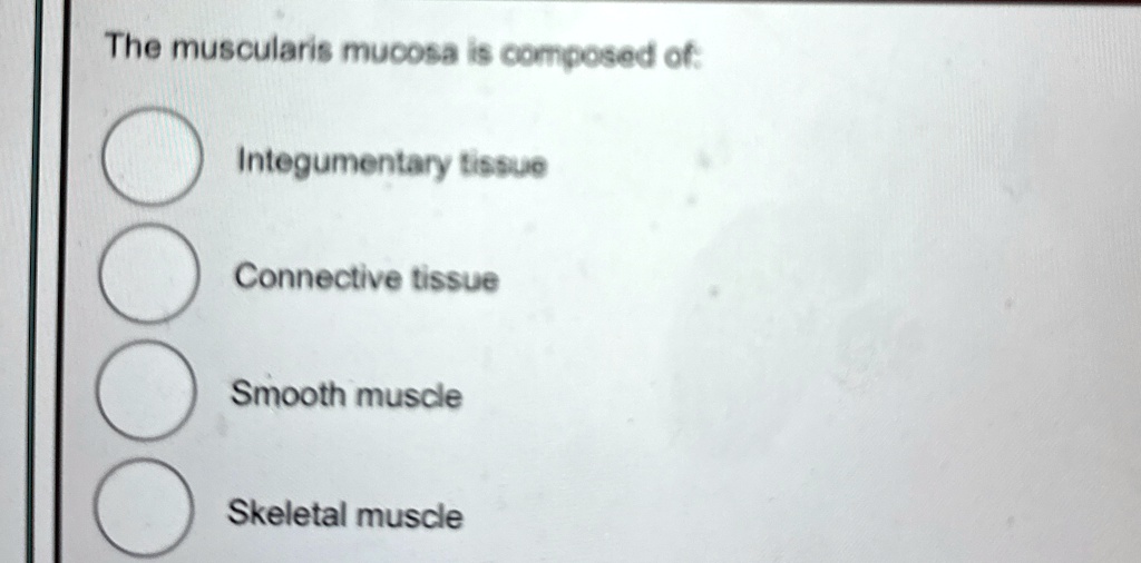 The muscularis mucosa is composed of: Integumentary tissue Connective ...