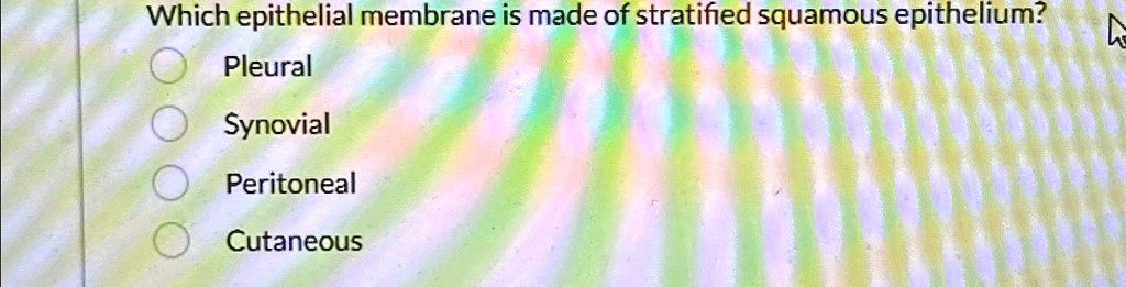 Which epithelial membrane is made of stratified squamous epithelium ...