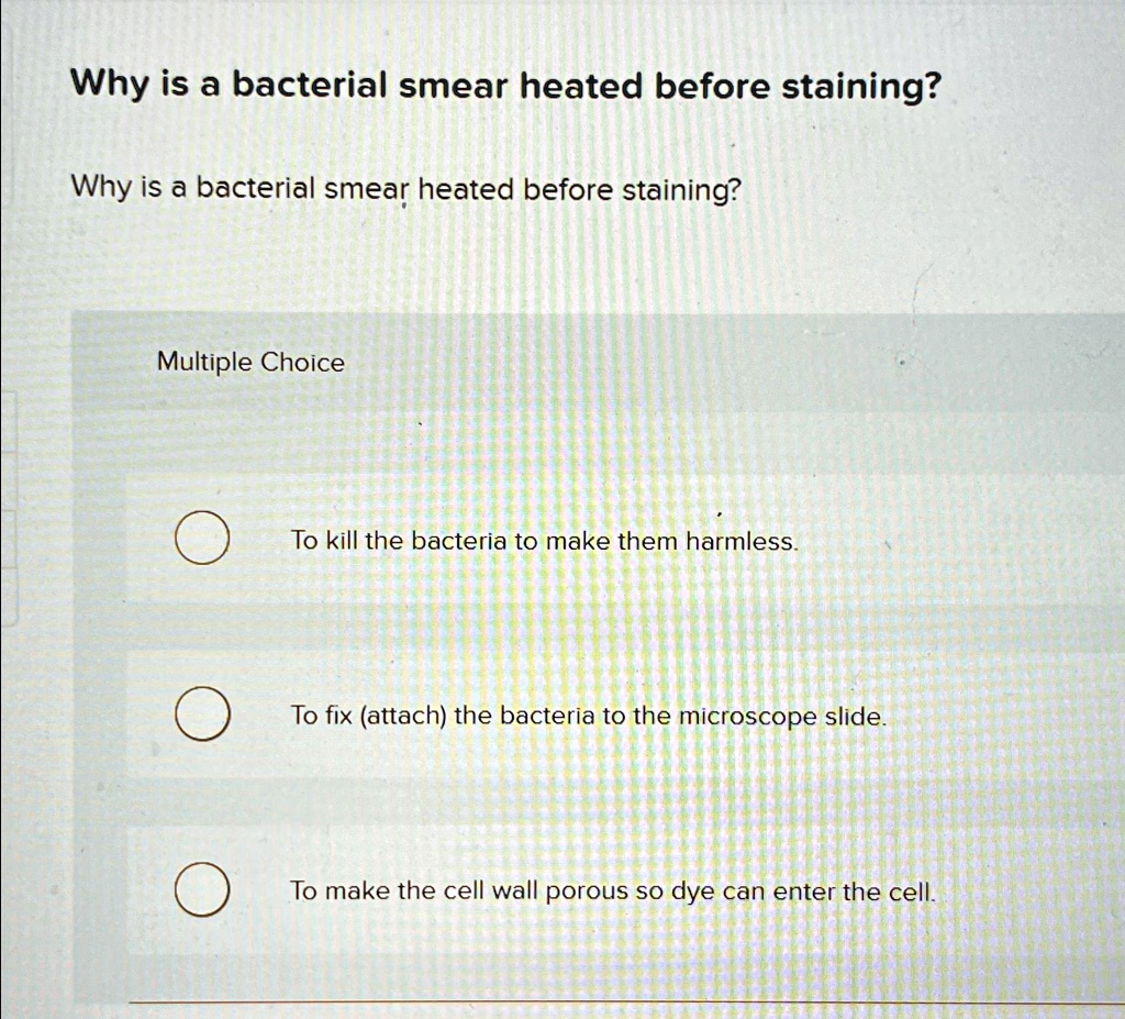 Why is a bacterial smear heated before staining? Why is a bacterial ...