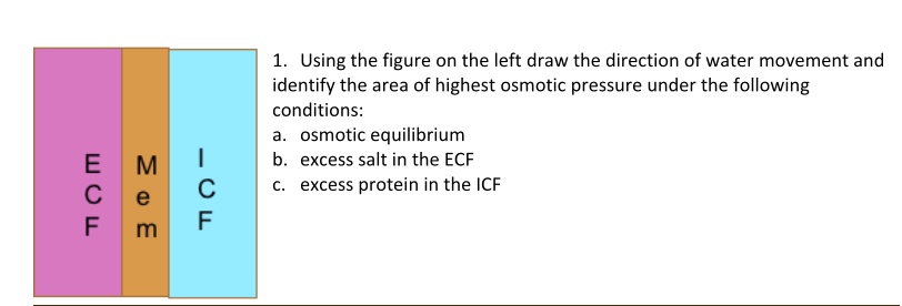 SOLVED: Using the figure on the left draw the direction of water ...