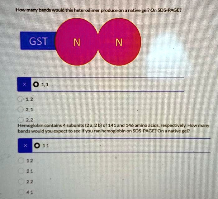 SOLVED: Texts: How many bands would this heterodimer produce on a ...