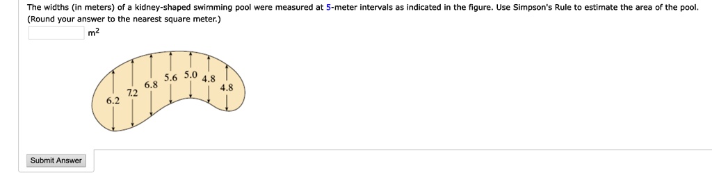 the widths in meters kidney shaped swimming pool were measured at 5 ...