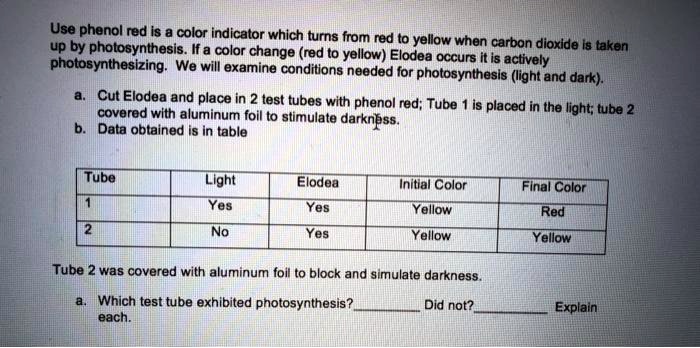 SOLVED: Use phenol red as a color indicator which turns from red to ...