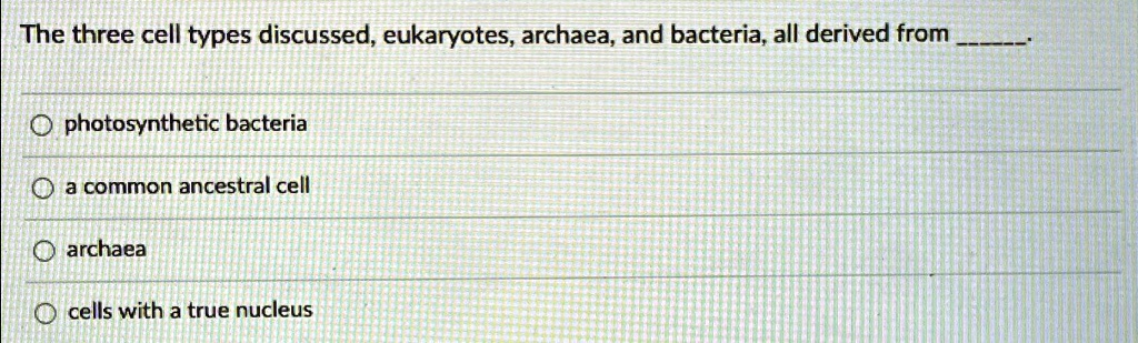 The three cell types discussed, eukaryotes, archaea, and bacteria, all ...