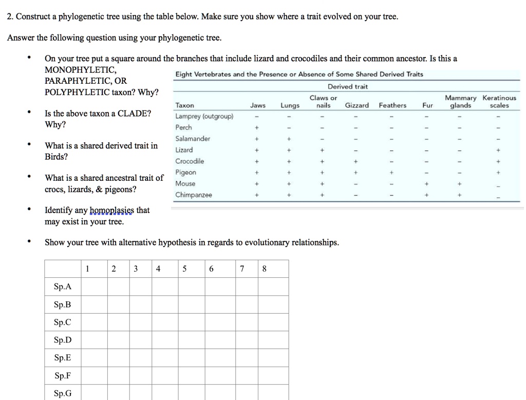 2 construct a phylogenetic tree using the table below make sure you ...