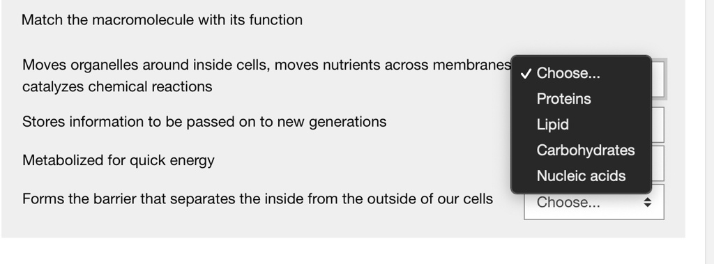 Match the macromolecule with its function Moves organelles around ...