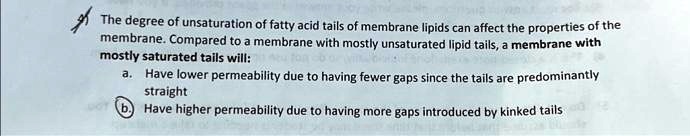 SOLVED: mostly saturated tails will: a. straight Have higher ...