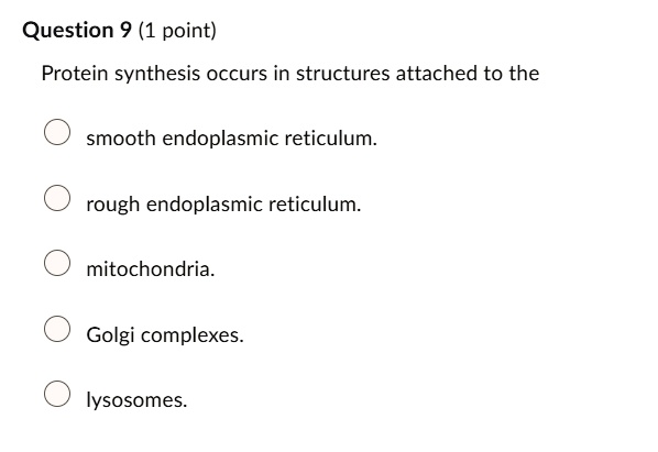 SOLVED: Question 9 (1 point) Protein synthesis occurs in structures ...