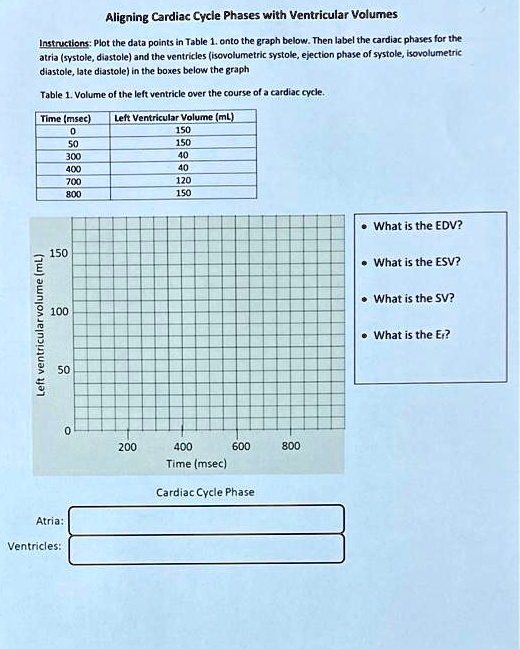 Aligning Cardiac Cycle Phases with Ventricular Volumes Instructions ... Aligning Cardiac Cycle Phases with Ventricular Volumes Instructions ...
