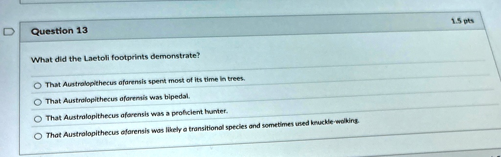 question 13 what did the laetoli footprints demonstrate that ...
