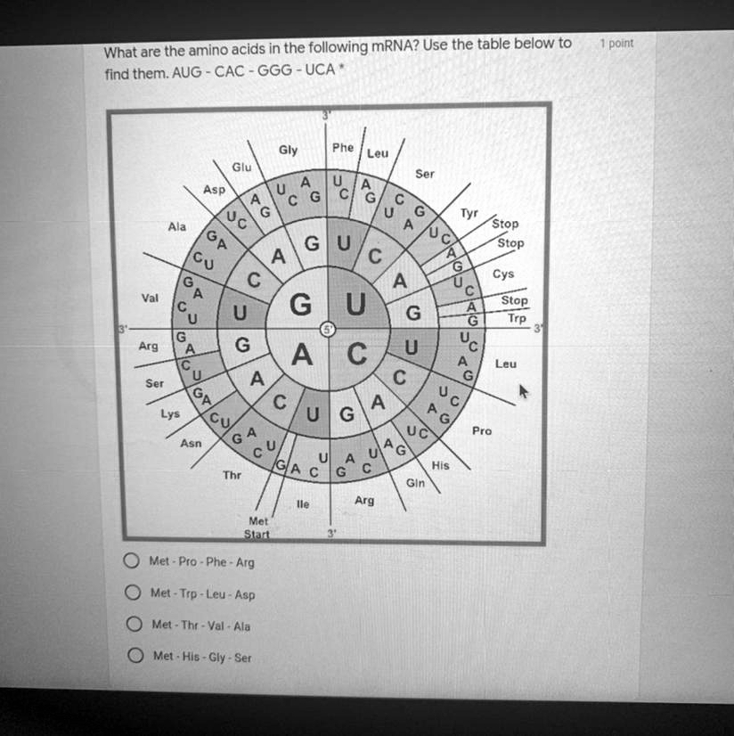 What are the amino acids in the following mRNA? Use the table below to ...