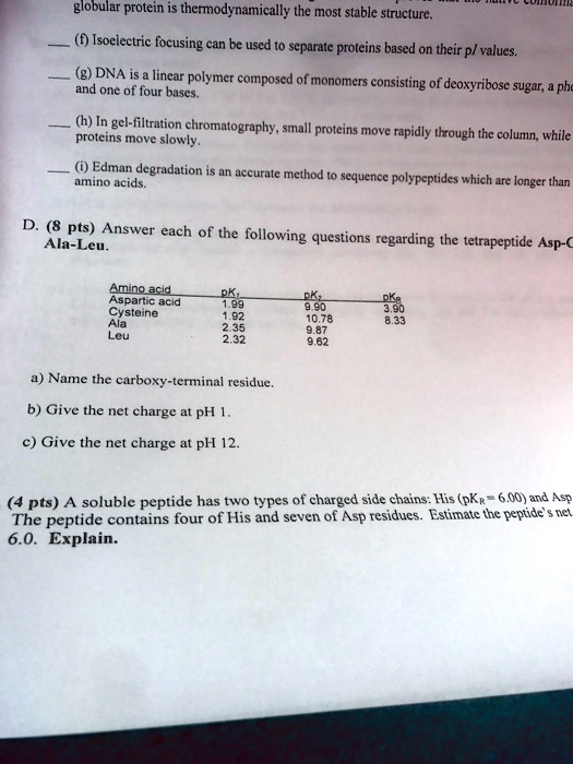 globular protein is thermodynamically the most stable structure. (f ...
