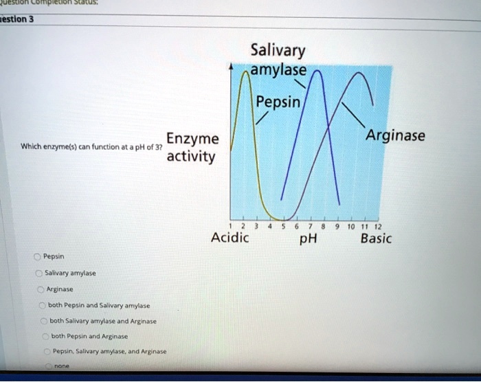 SOLVED: Jestion Salivary amylase Pepsin Enzyme Which enzymc(s) can ... SOLVED: Jestion Salivary amylase Pepsin Enzyme Which enzymc(s) can ...