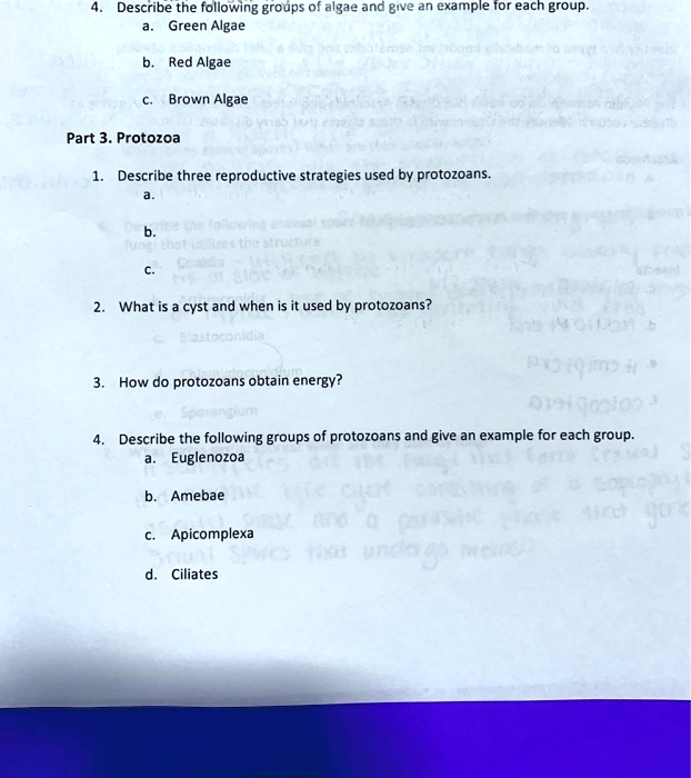 4. Describe the following groups of algae and give an example for each ...