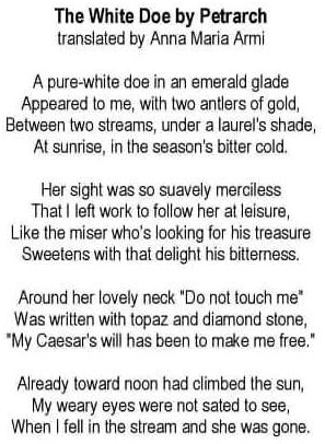 B. Based on the poem above, illustrate how does a doe look like based ...