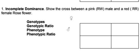 SOLVED:'Incomplete Dominance. Show the cross between a pink (RW) male ...