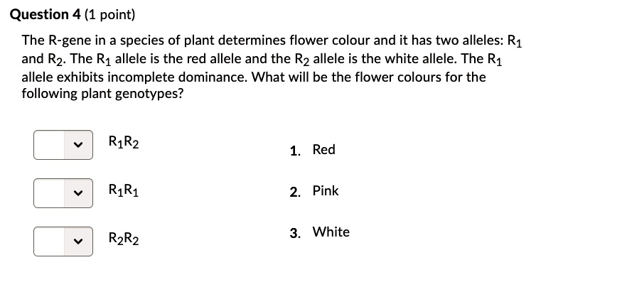 SOLVED: Question 4 (1 point) The R-gene in a species of plant ...
