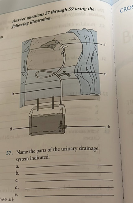 Answer questions 57 through 59 using the following illustration. 57 ...