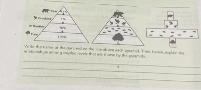 Write the name of the pyramid on the line above each pyramid. Then ...