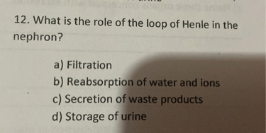 12. What is the role of the loop of Henle in the nephron? a) Filtration ...