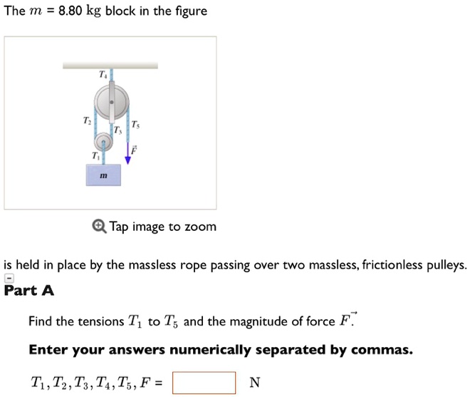 SOLVED: The 8.80 kg block in the figure is held in place by the massless rope passing over two ...