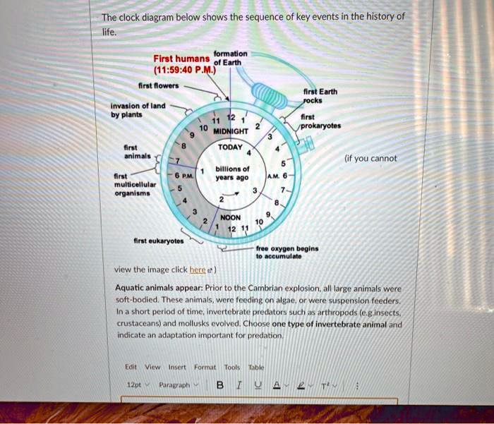 the clock diagram below shows the sequence of key events in the history ...