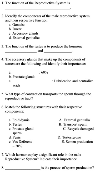 SOLVED: The function of the Reproductive System is to produce and ...