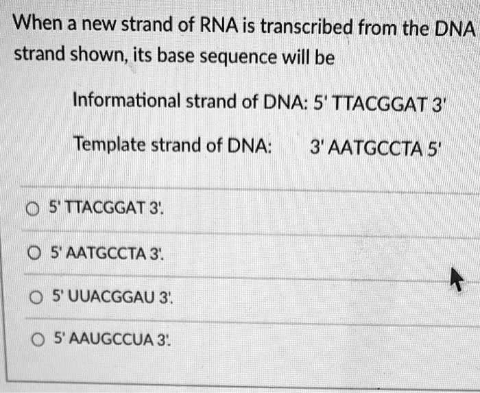 when a new strand of rna is transcribed from the dna strand shown its ...
