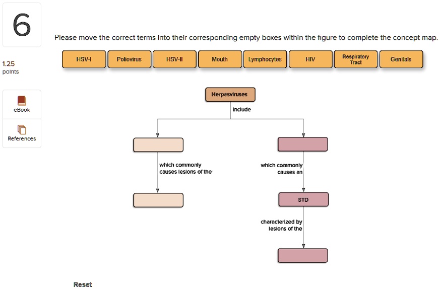 SOLVED: 6 Please move the correct terms into their corresponding empty boxes within the figure ...