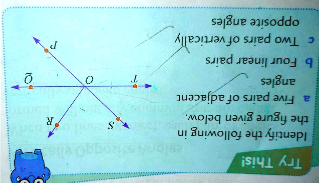 SOLVED: "identify the following in the figure given belowa Five pairs of adjacent anglesb Four ...
