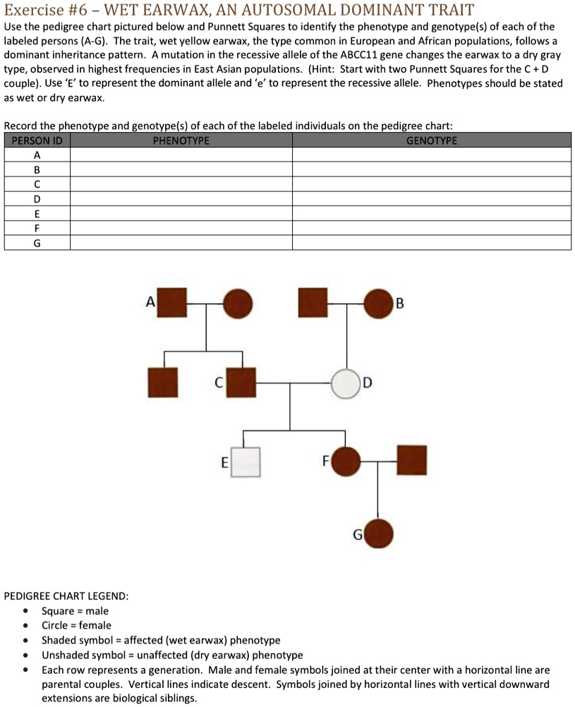 exercise 6 wet earwax an autosomal dominant trait use the pedigree ...