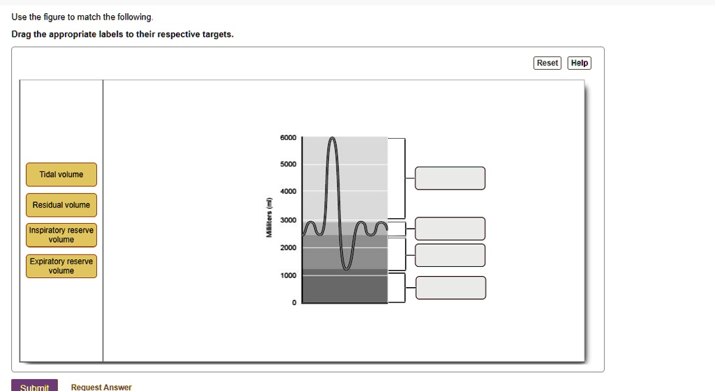 SOLVED: Use the figure to match the following. Drag the appropriate ...