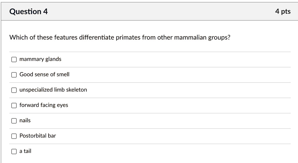 Solved Question 4 4 Pts Which Of These Features Differentiate Primates From Other Mammalian 