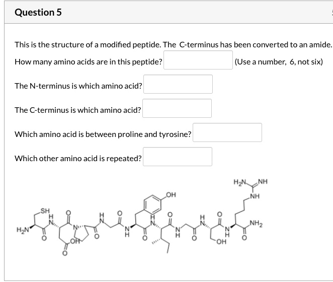 SOLVED:Question 5 This is the structure of a modified peptide: The C ...
