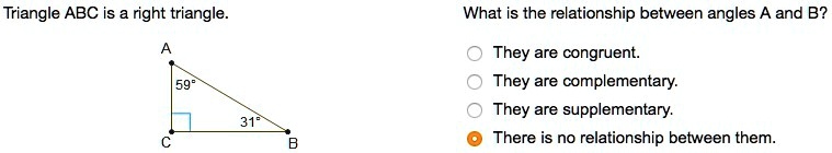 Triangle ABC is a right triangle. 59° 31° What is the relationship between angles A and B? They ...