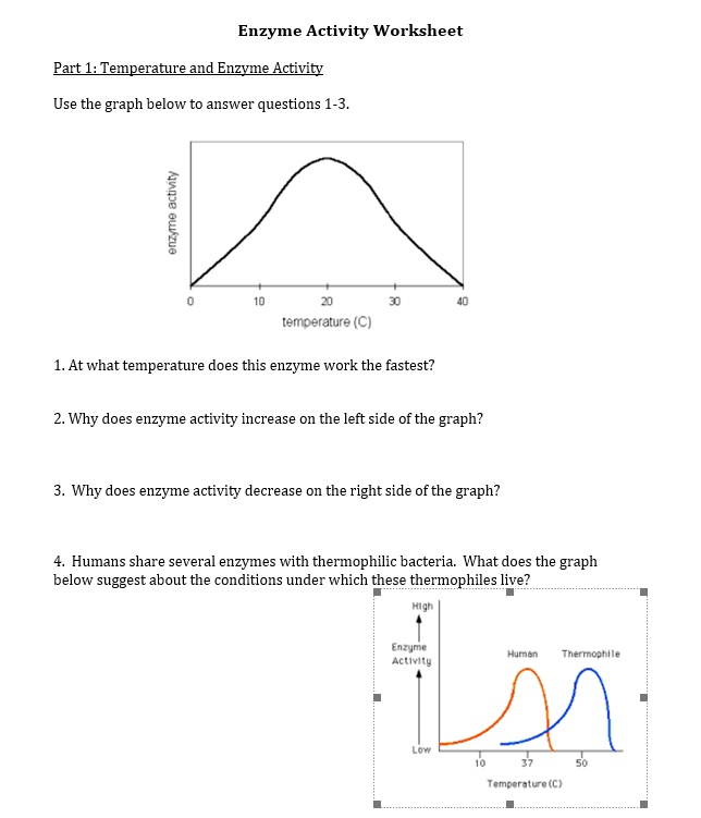 SOLVED: Enzyme Activity Worksheet Part Li Temperature aud Enzyme ...