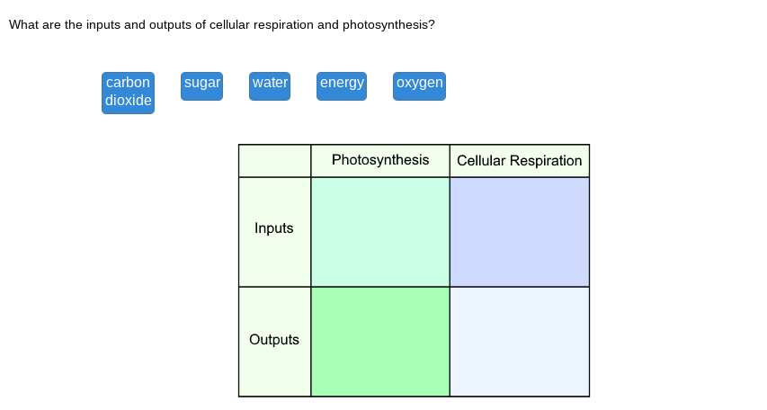 What are the inputs and outputs of cellular respiration and ...