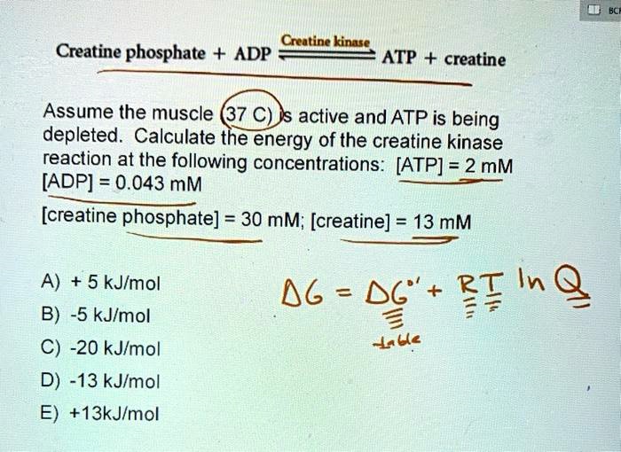 SOLVED: Creatine kinase ADP ATP Creatine phosphate Creatine Assume the ...