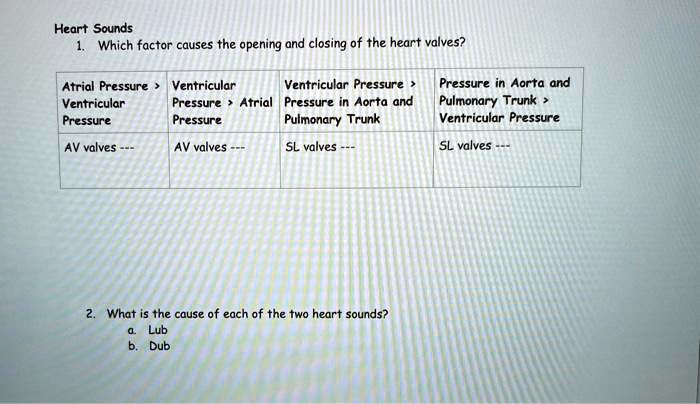 Heart Sounds 1. Which factor causes the opening and closing of the ...