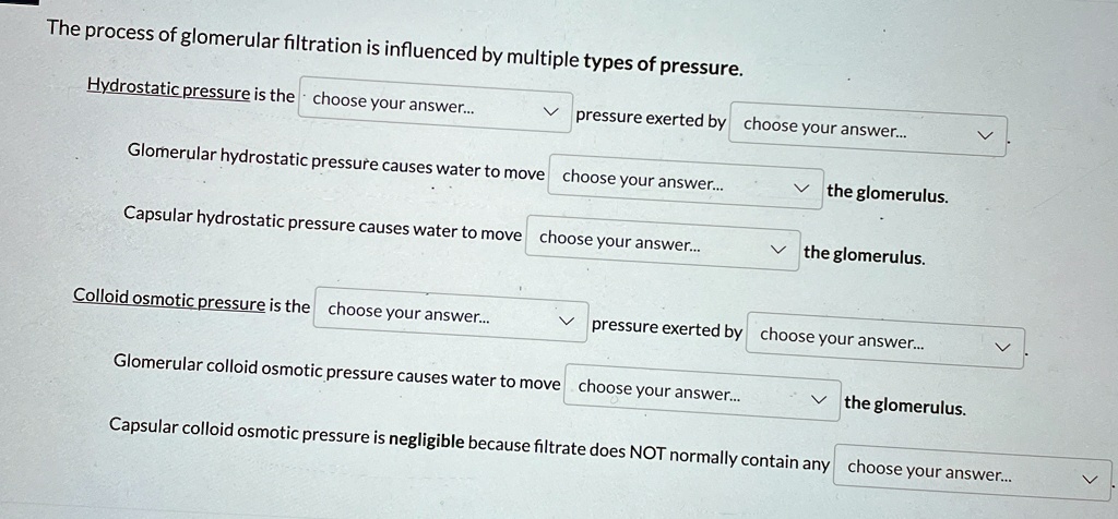 the process of glomerular filtration is influenced by multiple types of pressure hydrostatic ...
