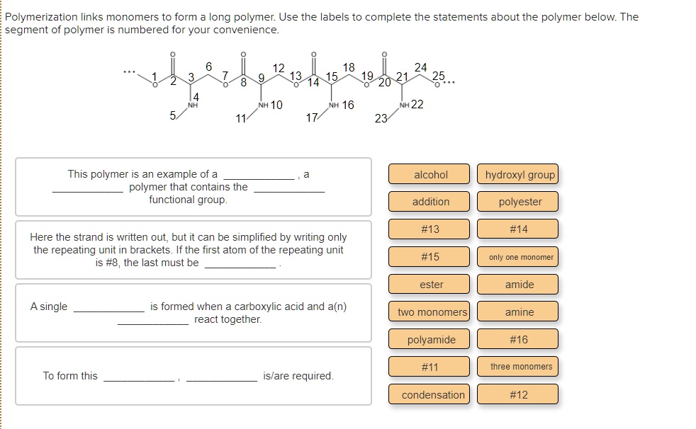 polymerization links monomers to form long polymer use the labels to ...