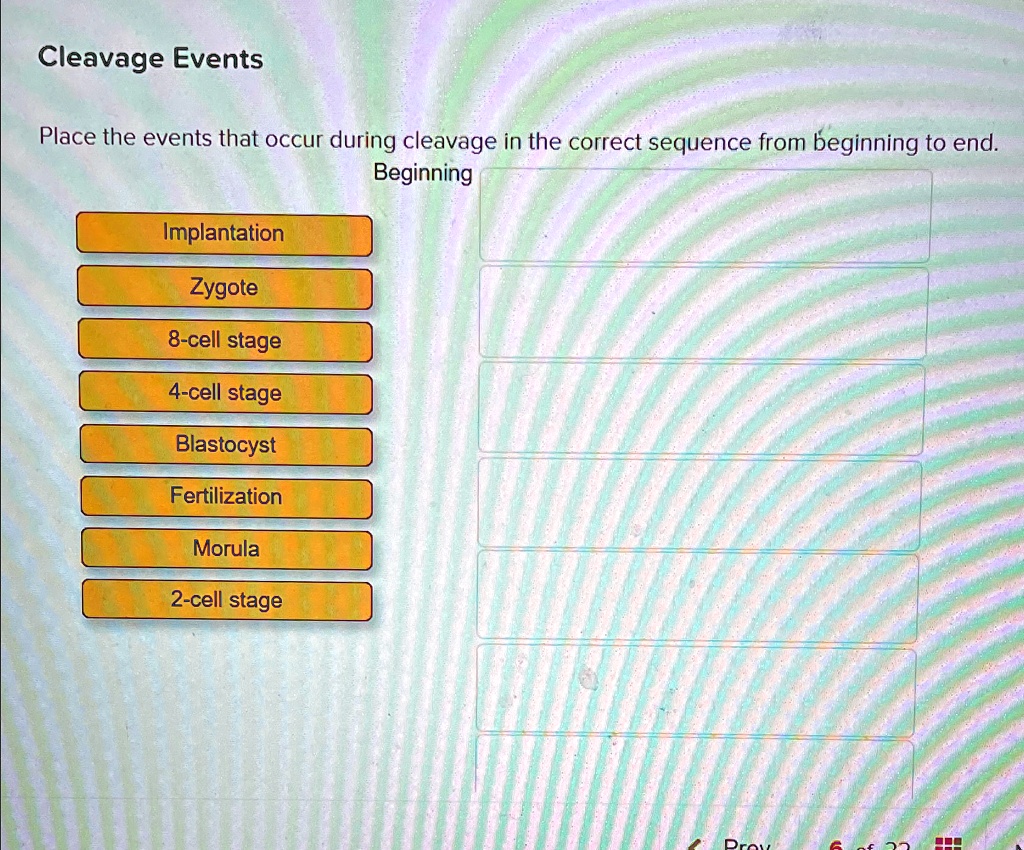 Cleavage Events Place the events that occur during cleavage in the ...