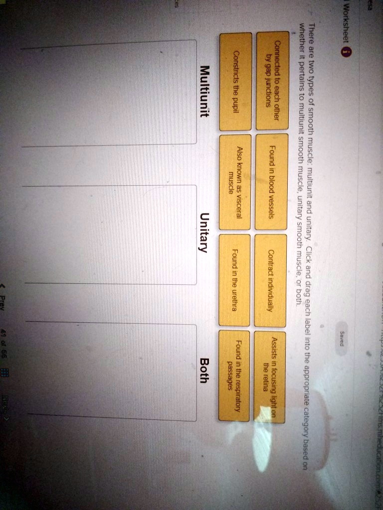 SOLVED: Worksheet i ese Multiunit Constricts the pupil by gap junctions Connected to each other ...
