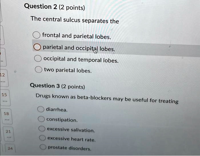 texts question 2 2 points the central sulcus separates the frontal and ... texts question 2 2 points the central sulcus separates the frontal and ...