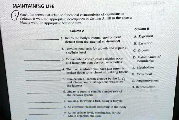 SOLVED: Texts: MAINTAINING LIFE Match the terms that relate to functional characteristics of ...